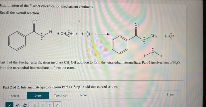 Solved Examination of the Fischer esterification mechanism | Chegg.com