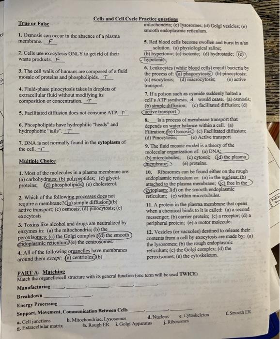 Solved Cells and Cell Cycle Practice questions True or False | Chegg.com