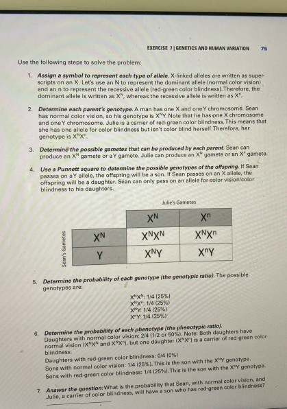 Solved EXERCISE 7 GENETICS AND HUMAN VARIATION 75 Use the | Chegg.com