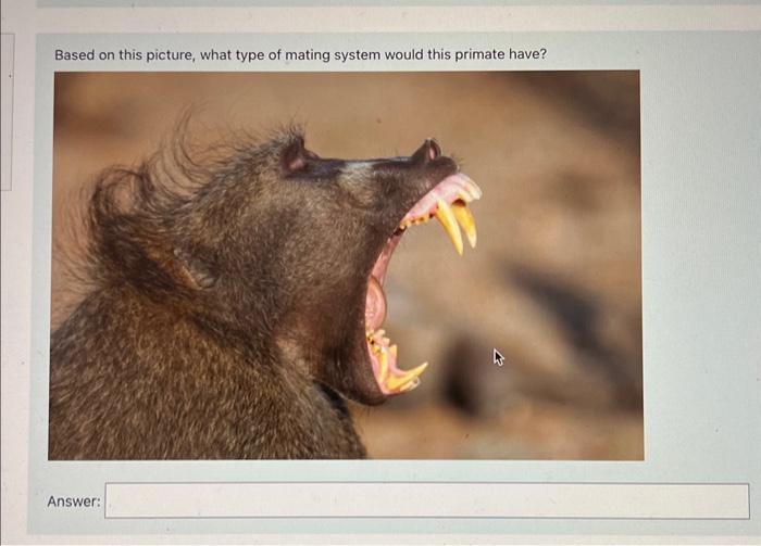 Based on this picture, what type of mating system | Chegg.com