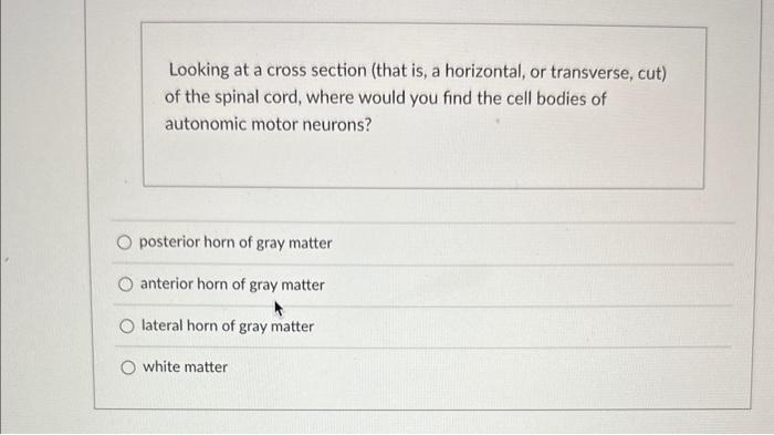 Solved Looking at a cross section (that is, a horizontal, or | Chegg.com