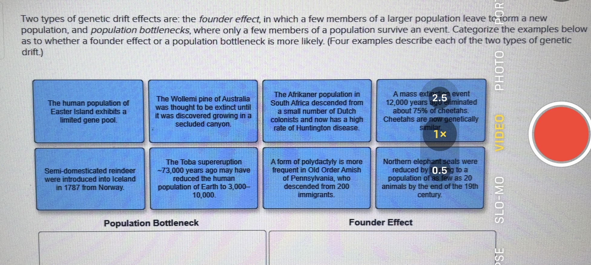 Solved Two types of genetic drift effects are: the founder | Chegg.com