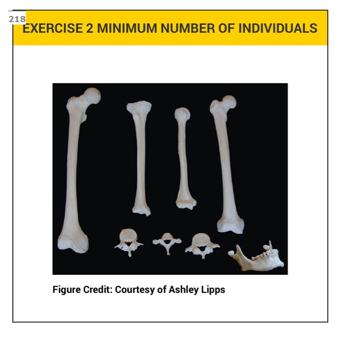 Solved EXERCISE 2 MINIMUM NUMBER OF INDIVIDUALS Work in a | Chegg.com