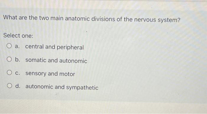 Solved What are the two main anatomic divisions of the | Chegg.com