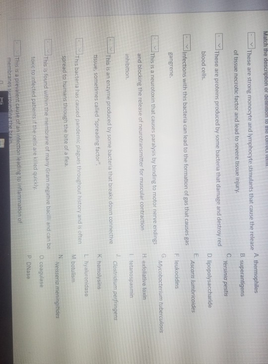 Solved Match the description or definition to the contem. | Chegg.com