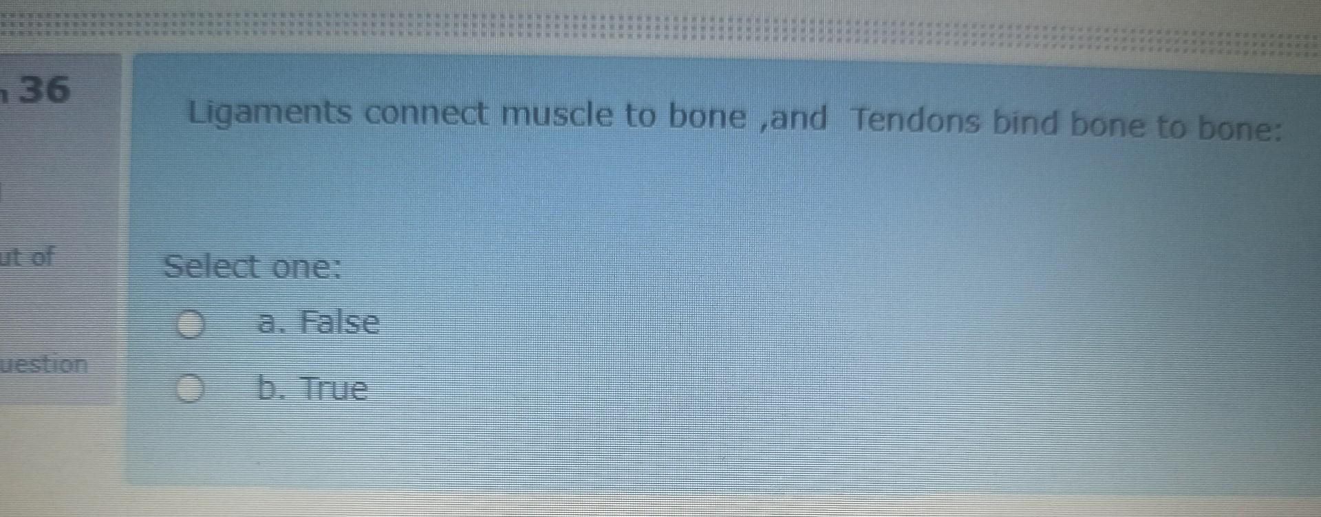 Solved 36 Ligaments connect muscle to bone ,and Tendons bind | Chegg.com