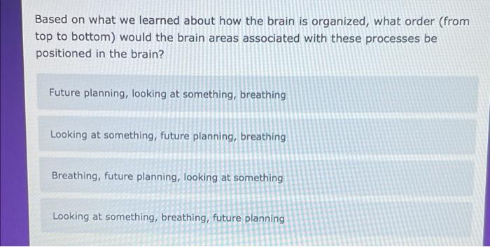 Solved Based on what we learned about how the brain is | Chegg.com
