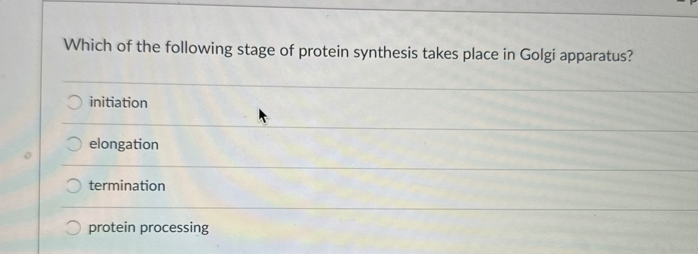 Solved Which of the following stage of protein synthesis | Chegg.com