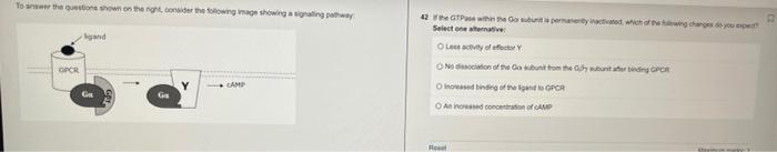 Solved Seliect one atoenative: terer acivey of affectory. Mi | Chegg.com