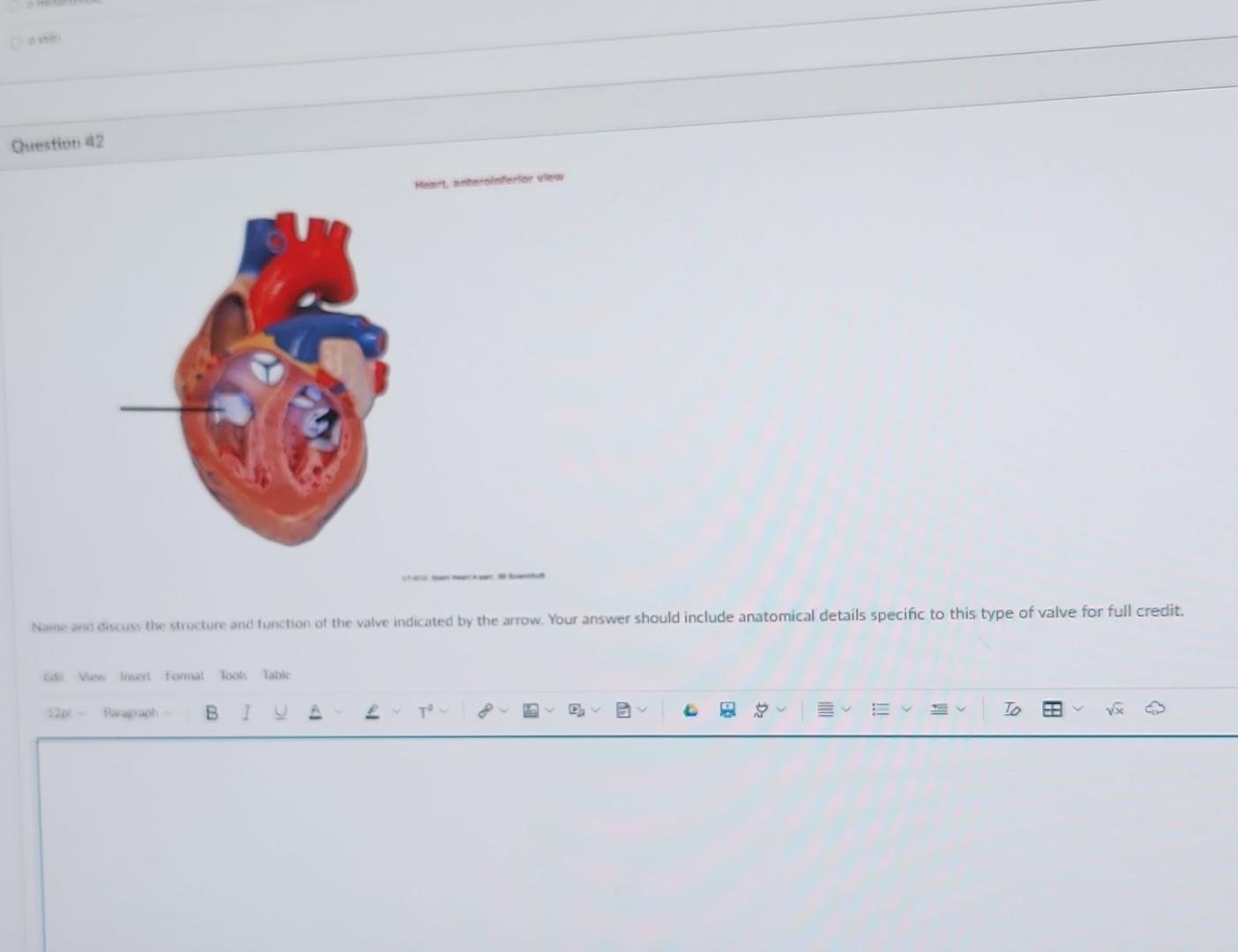 Solved Name and discuss the structure and function of the | Chegg.com
