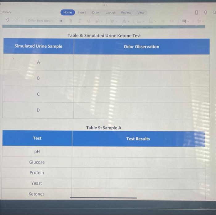 Solved The Urinary System Tahle 5. Simulated Urine Glucose | Chegg.com