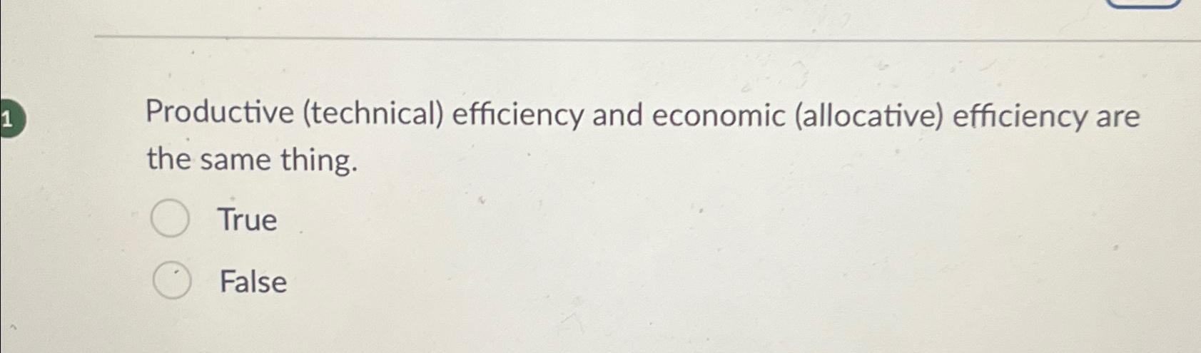 Solved Productive (technical) ﻿efficiency and economic | Chegg.com