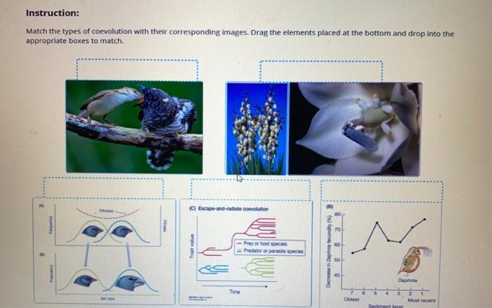 Instruction: Match the types of coevolution with | Chegg.com