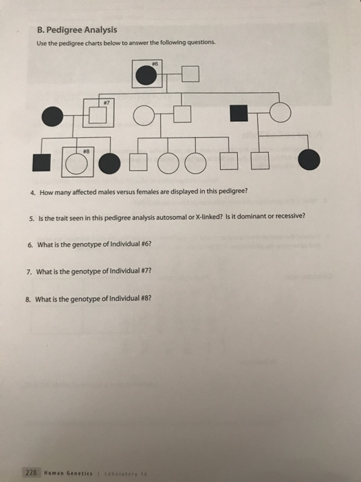 Solved B. Pedigree Analysis Use the pedigree charts below to | Chegg.com
