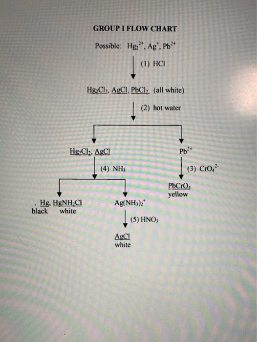 Solved GROUP I FLOW CHART Possible: Hg2+, Ag, Pb2+ (1) HCI | Chegg.com