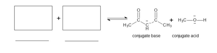 Solved + + H2C--H H3C CH3 conjugate base conjugate acid | Chegg.com