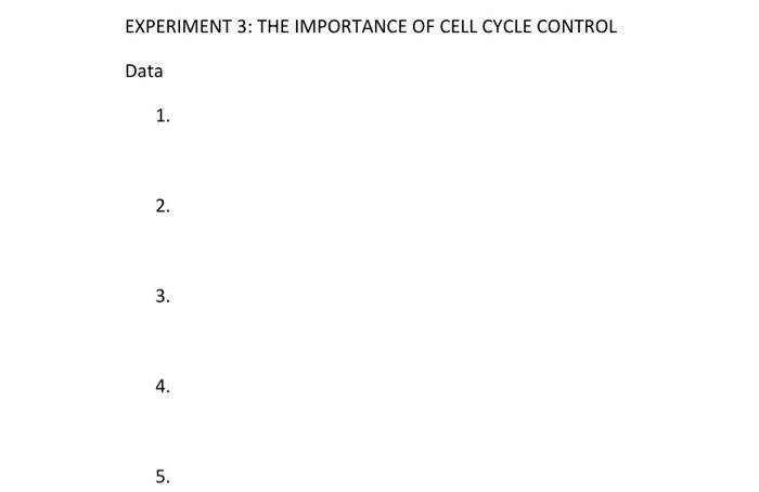 Solved EXPERIMENT 3: THE IMPORTANCE OF CELL CYCLE CONTROL | Chegg.com