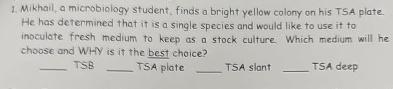 Solved Mikhail, a micnobiology student, finds a bright | Chegg.com