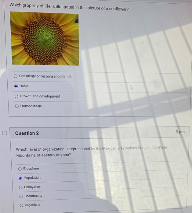 Solved D Which property of life is illustrated in this | Chegg.com