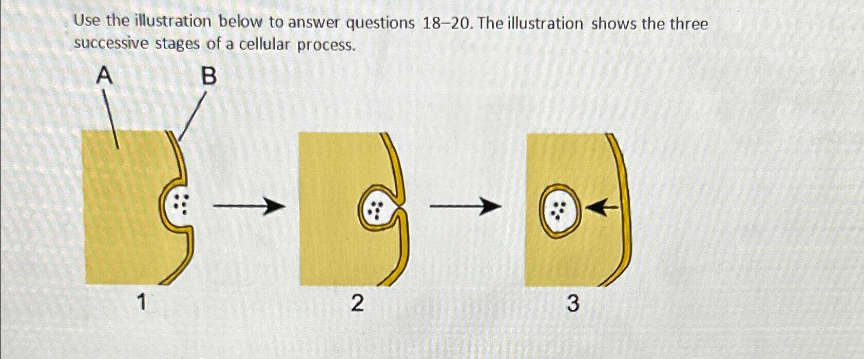 Solved Use the illustration below to answer questions 18-20. | Chegg.com