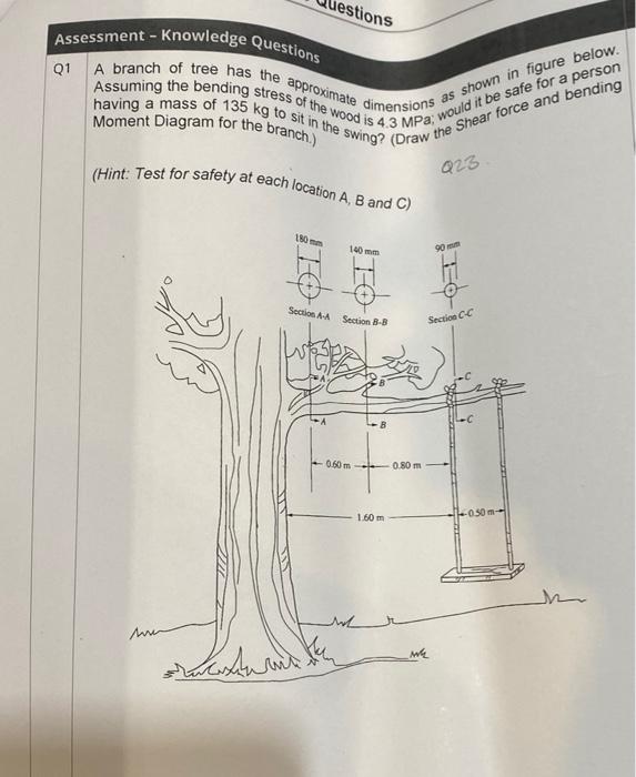 Solved Assessment - Knowledge Questions A branch of tree has | Chegg.com