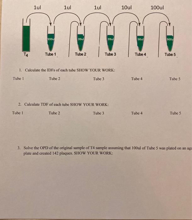 Solved 1ul lul lul 10ul 100ul 999 9000 Tube 1 Tube 2 Tube 3 | Chegg.com