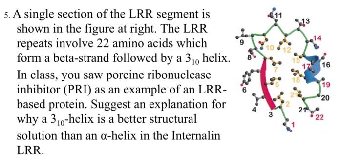 Solved 5. A single section of the LRR segment is shown in | Chegg.com