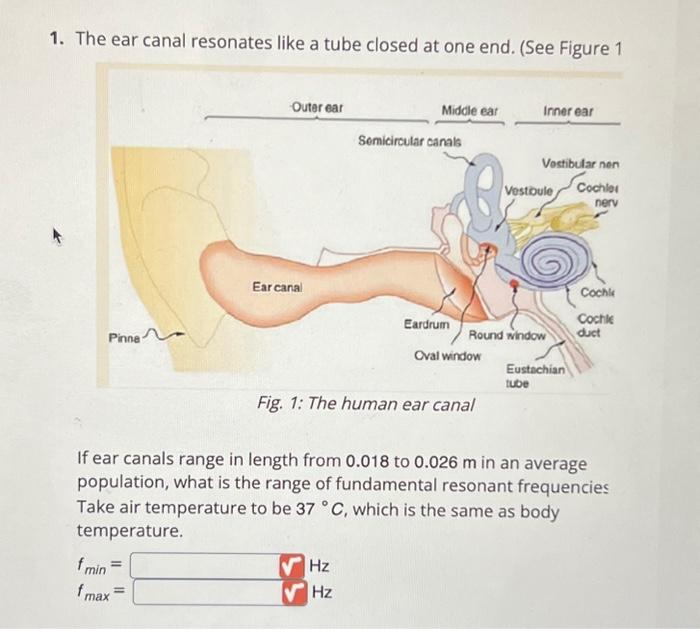 Solved 1. The ear canal resonates like a tube closed at one | Chegg.com