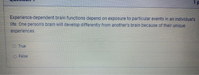 Solved 17 Experience-dependent brain functions depend on | Chegg.com