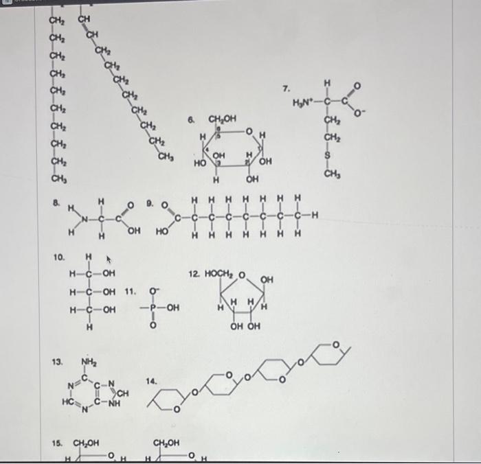 Solved The following question is based on the 15 molecules | Chegg.com