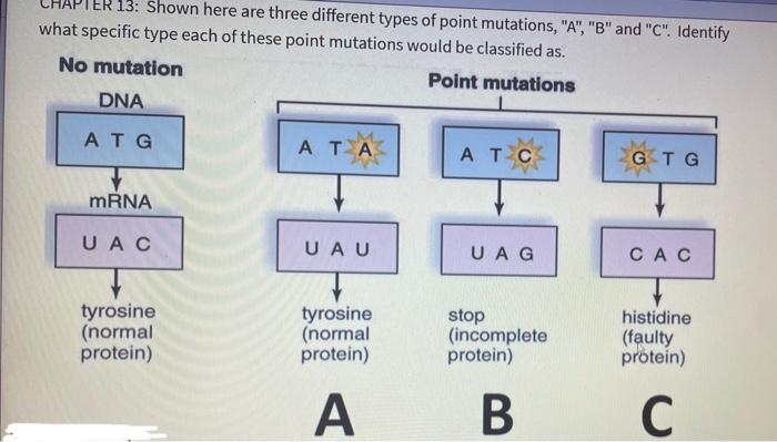 Solved TER 13: Shown here are three different types of point | Chegg.com