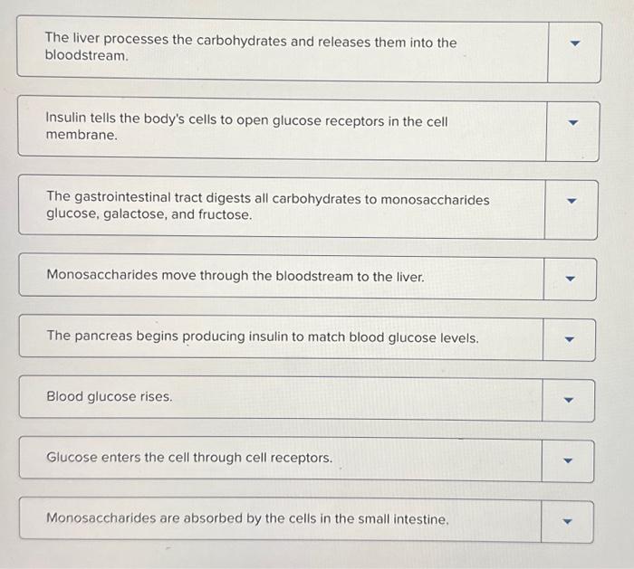 Solved For a person with a normally functioning pancreas, | Chegg.com