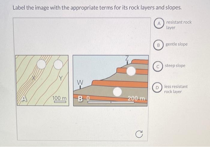 Solved Label the image with the appropriate terms for its | Chegg.com
