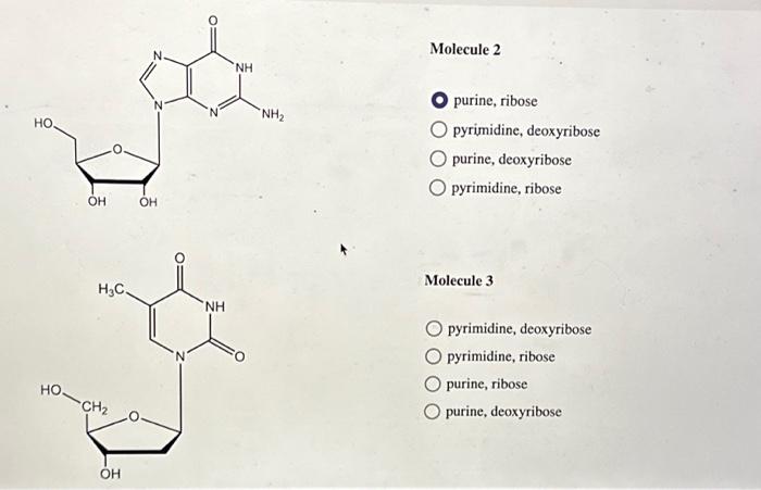 Solved Identity the type of base and sugar group present in | Chegg.com