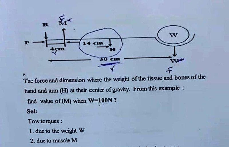Solved R 17 H 4gin W P 14 cin çan H н 30 cin The force and | Chegg.com