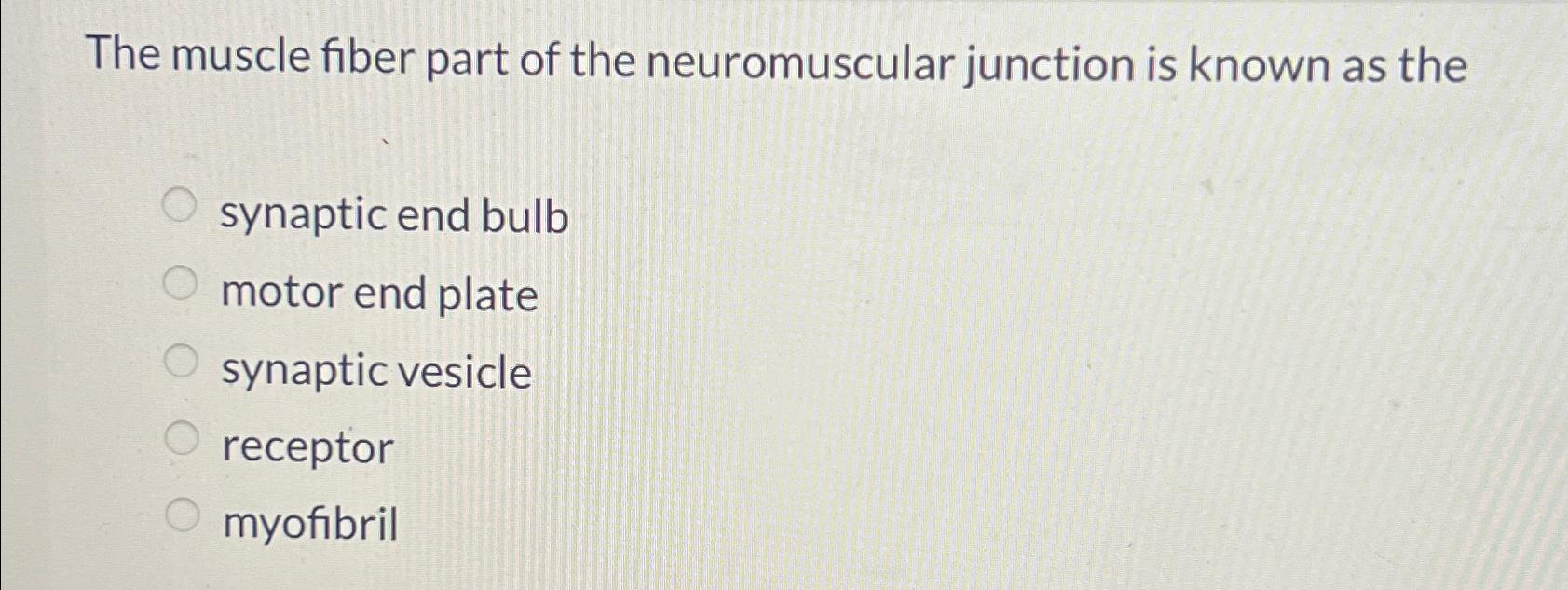 The muscle fiber part of the neuromuscular junction | Chegg.com