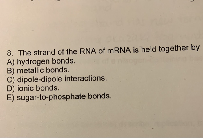 Solved 8. The strand of the RNA of MRNA is held together by | Chegg.com