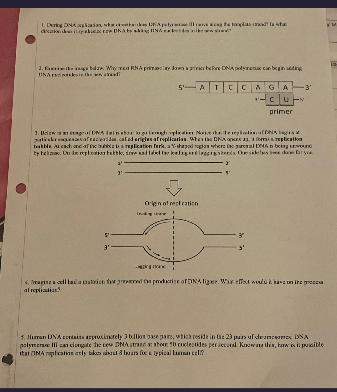 Solved 1.) ﻿During DNA replication, what direction does DNA | Chegg.com