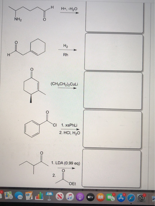 Solved H H+, -H2O NH2 (CH3CH2)2Culi CI 1. xsPhli 2. HCI, H20 | Chegg.com