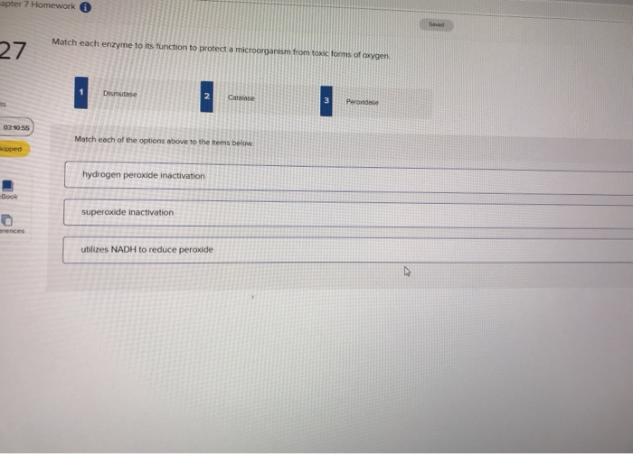 Solved apter 7 Homework Match each enzyme to its function to | Chegg.com