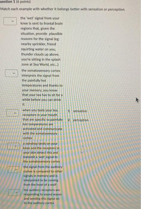 Solved uestion 1 ( 6 points) Match each example with whether | Chegg.com