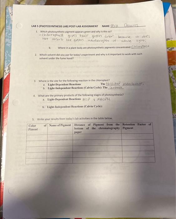 Solved LAB 5 (PHOTOSYNTHESIS LAB) POST-LAB ASSIGNMENT NAME | Chegg.com