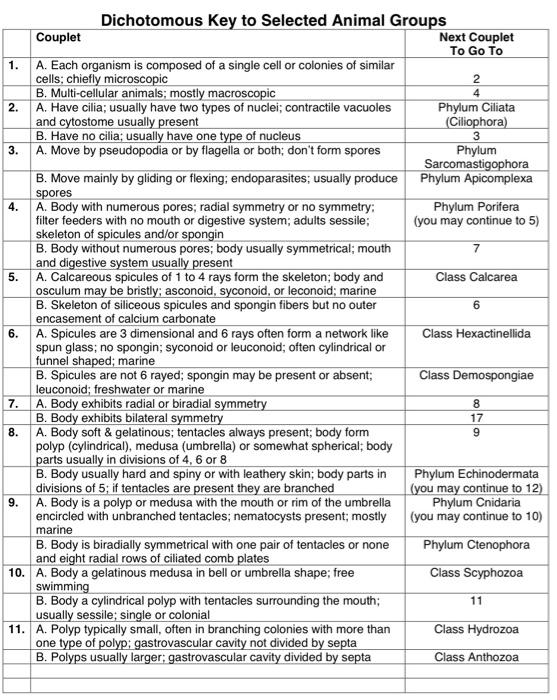 Solved Given the following dichotomous key, list the steps | Chegg.com