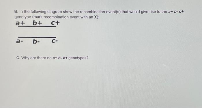 Solved B. In the following diagram show the recombination | Chegg.com