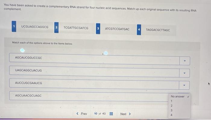 Solved You have been asked to create a complementary RNA | Chegg.com