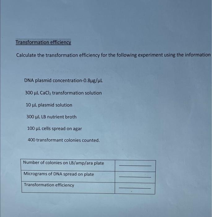 Solved Transformation efficiency Calculate the | Chegg.com
