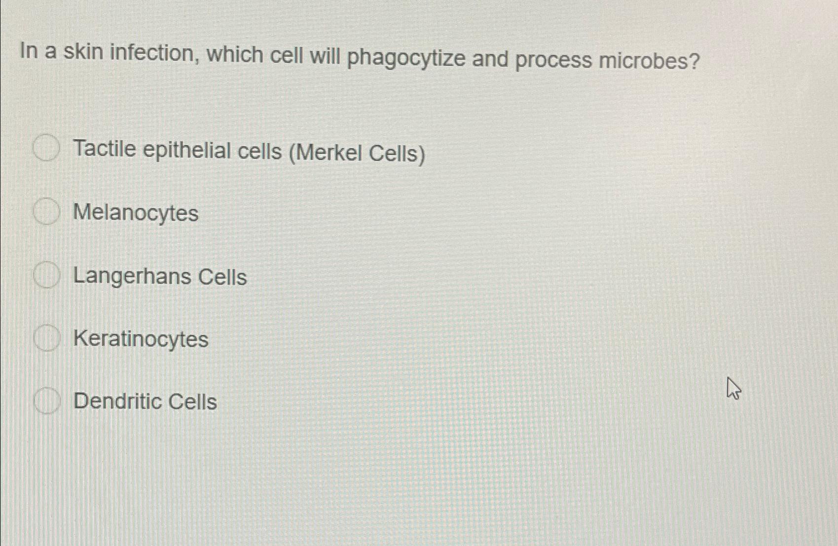 Solved In a skin infection, which cell will phagocytize and | Chegg.com