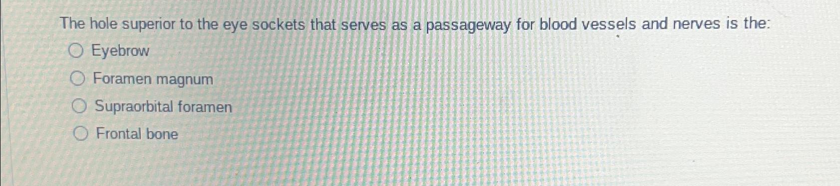 Solved The hole superior to the eye sockets that serves as a | Chegg.com