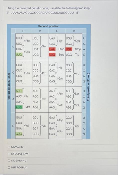Solved Using the provided genetic code, translate the | Chegg.com