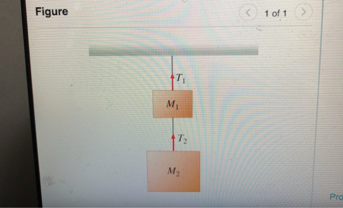 Solved Two blocks with masses M1 and M2 hang one under the | Chegg.com